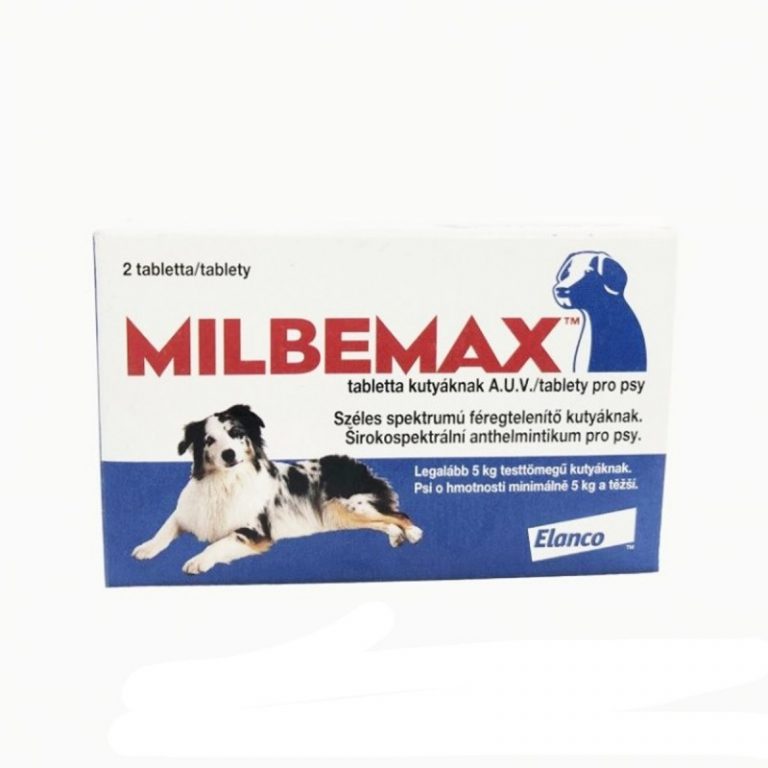 Primavara, momentul pentru deparazitare internă și externă la câini și ...