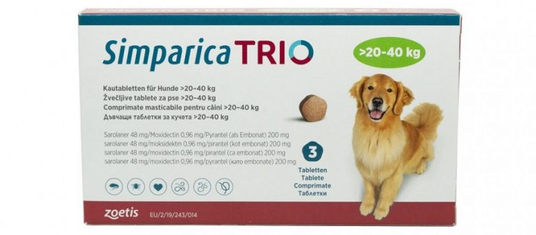 Cât costă o deparazitare la câini. Prețurile medii pentru ...